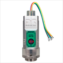 Detcon Inc. | LM Promotora Industrial S. A. de C. V.